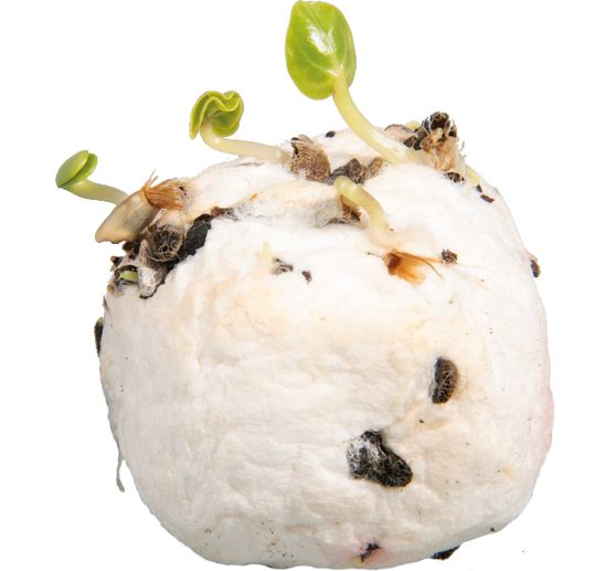Seed bomb craft kit | Knutselwinkel VBS Hobby